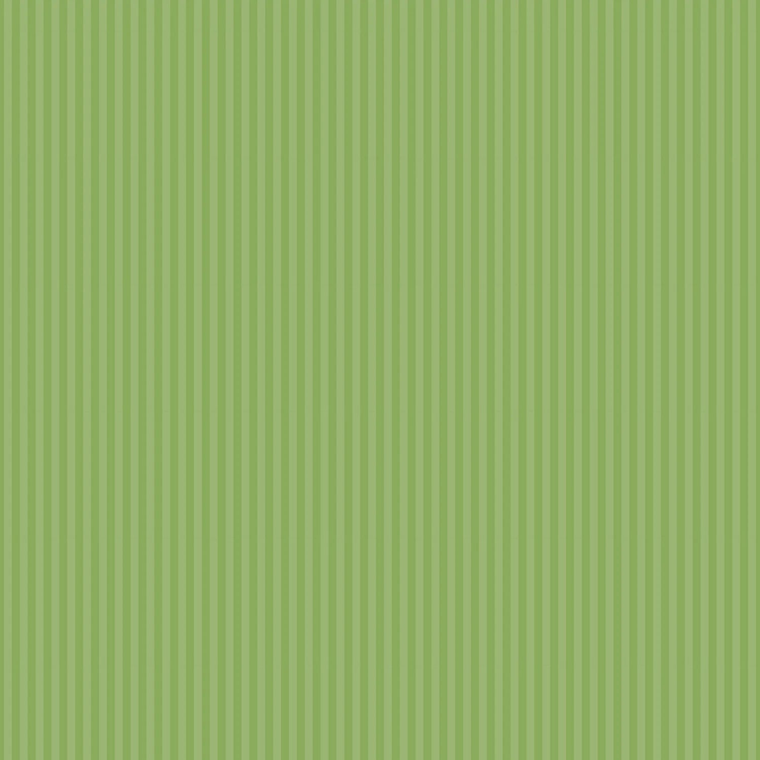 Tonal 1/8 in Stripe Green 44” - (C500R-GREEN) – Sold in UNITS of ¼ ...